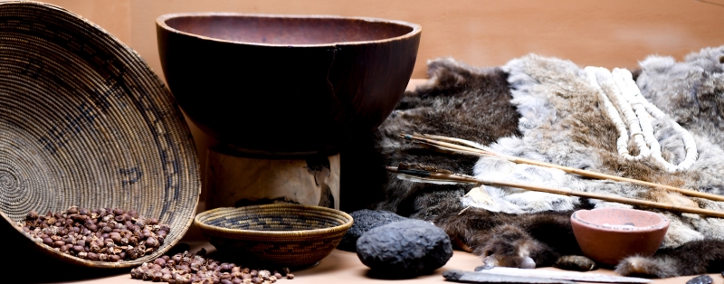 Live Virtual Field Trips | Santa Barbara Museum of Natural History